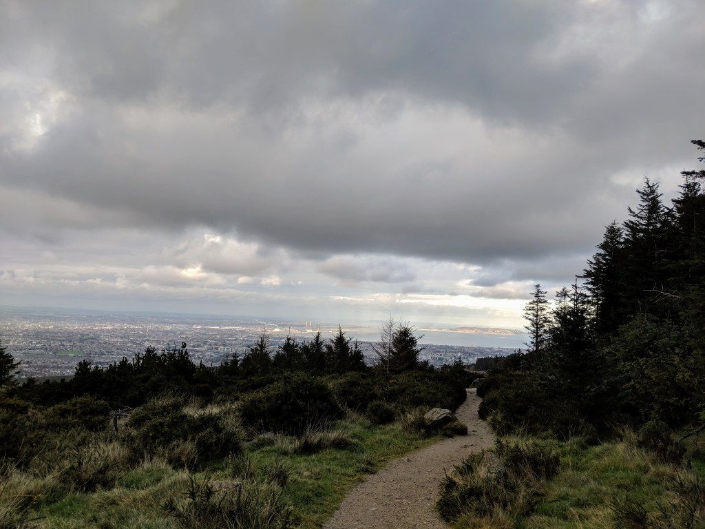 Ticknock Forest – Ireland – Shells Adventures