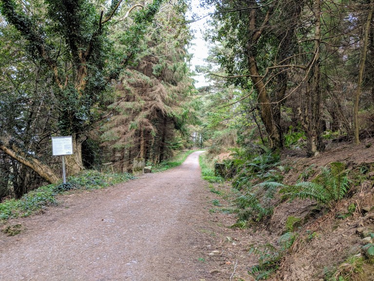 Kilmashogue Forest Trail – Ireland – Shells Adventures