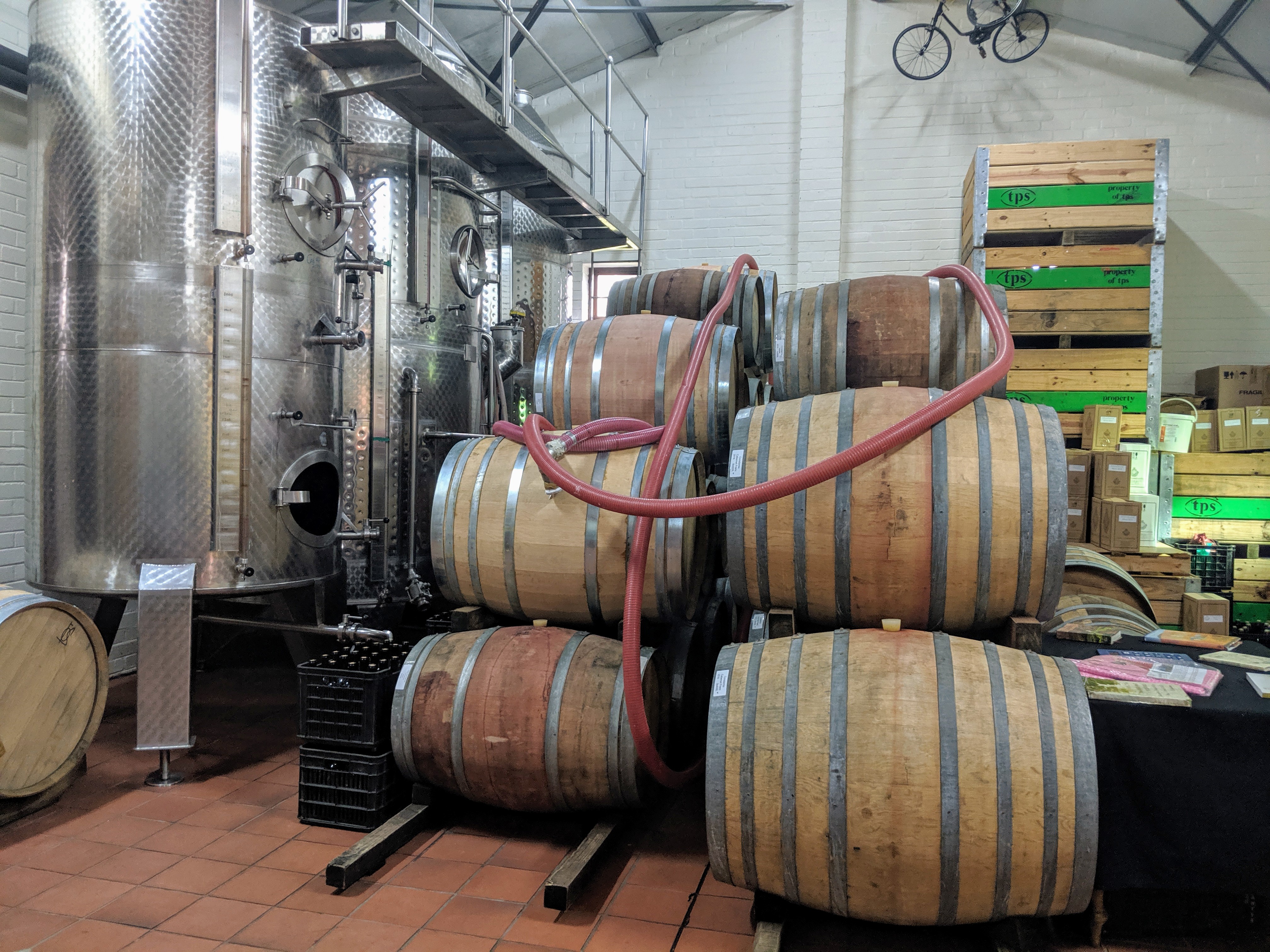 High Constantia Wine Farm – Cape Town – South Africa – Shells Adventures