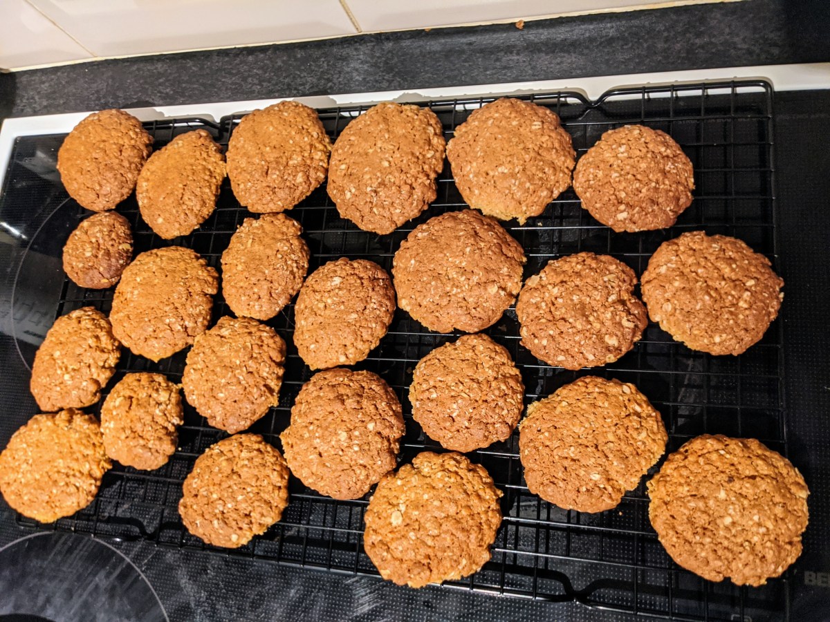 Oat Cookies – Shells Adventures