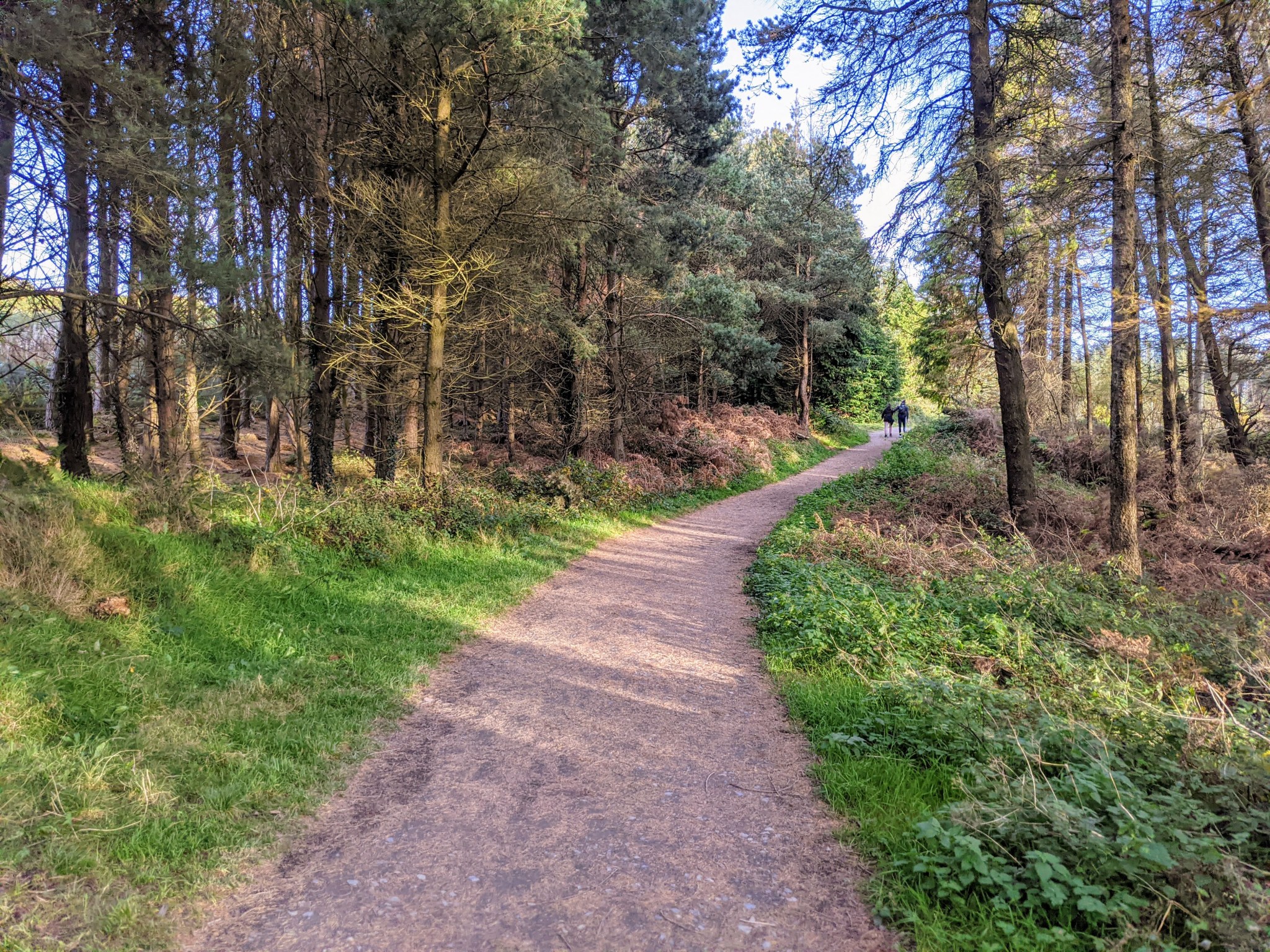 Carrickgollogan Hiking Trail – Ireland – Shells Adventures