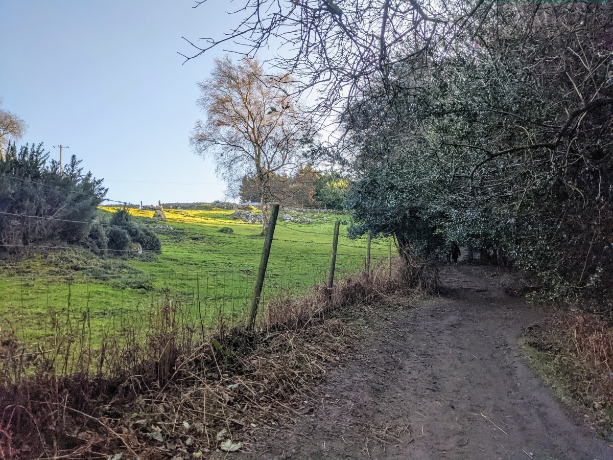 Fernhill House And Gardens – Ireland – Shells Adventures