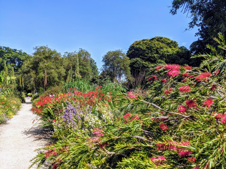 Kilmacurragh National Botanic Gardens – Ireland – Shells Adventures