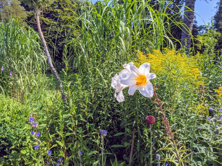 Kilmacurragh National Botanic Gardens – Ireland – Shells Adventures