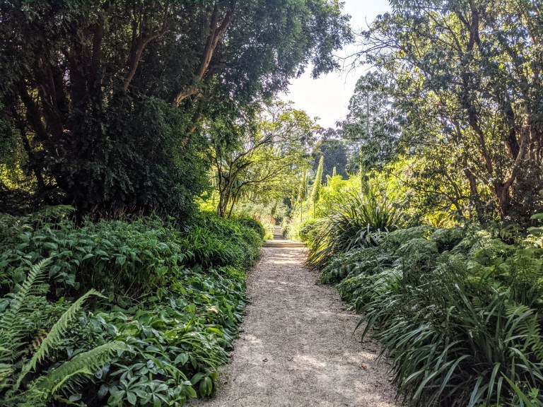 Kilmacurragh National Botanic Gardens – Ireland – Shells Adventures