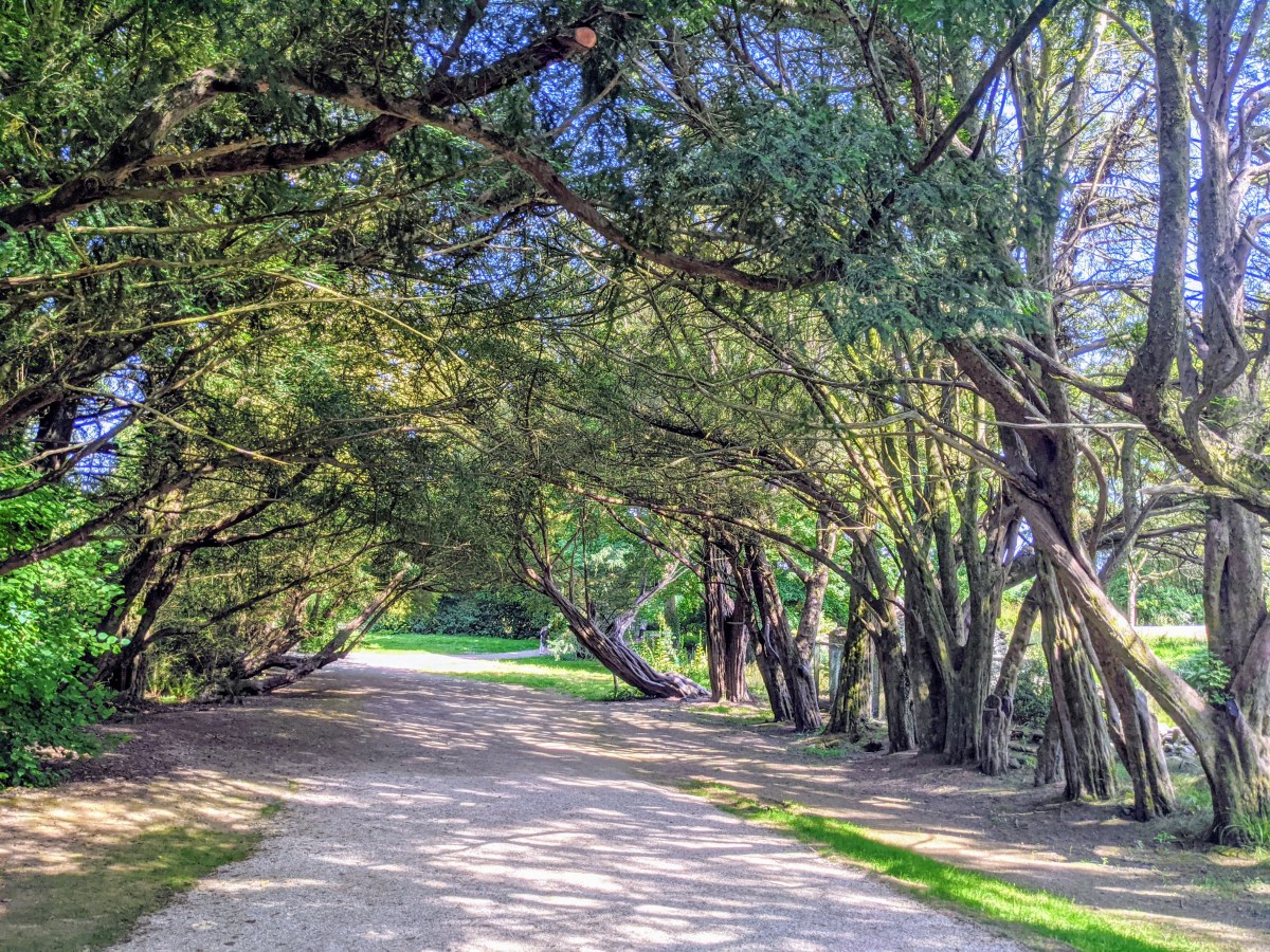 Kilmacurragh National Botanic Gardens – Ireland – Shells Adventures