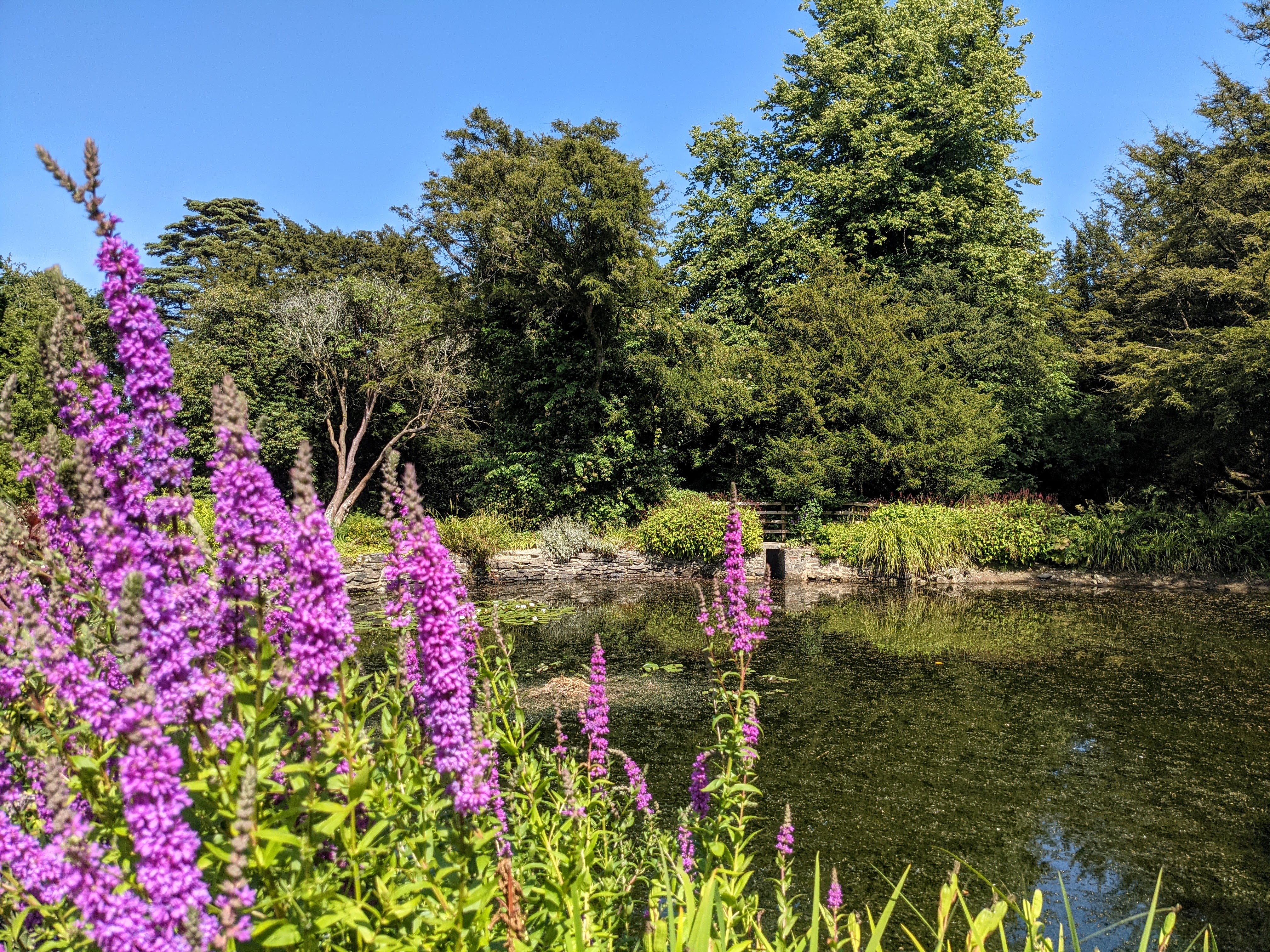Kilmacurragh National Botanic Gardens – Ireland – Shells Adventures