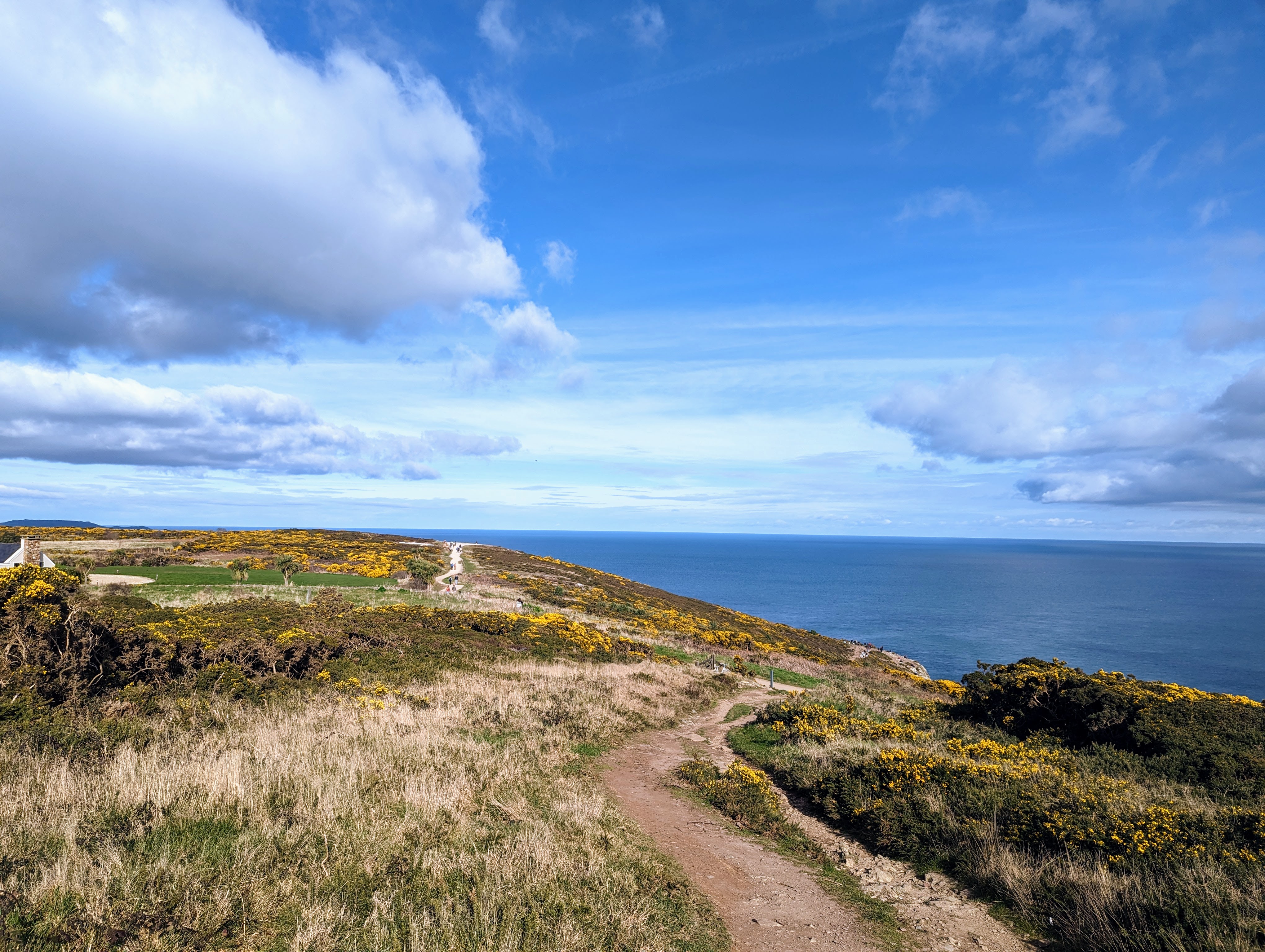 Howth Cliff Walk – Ireland – Shells Adventures