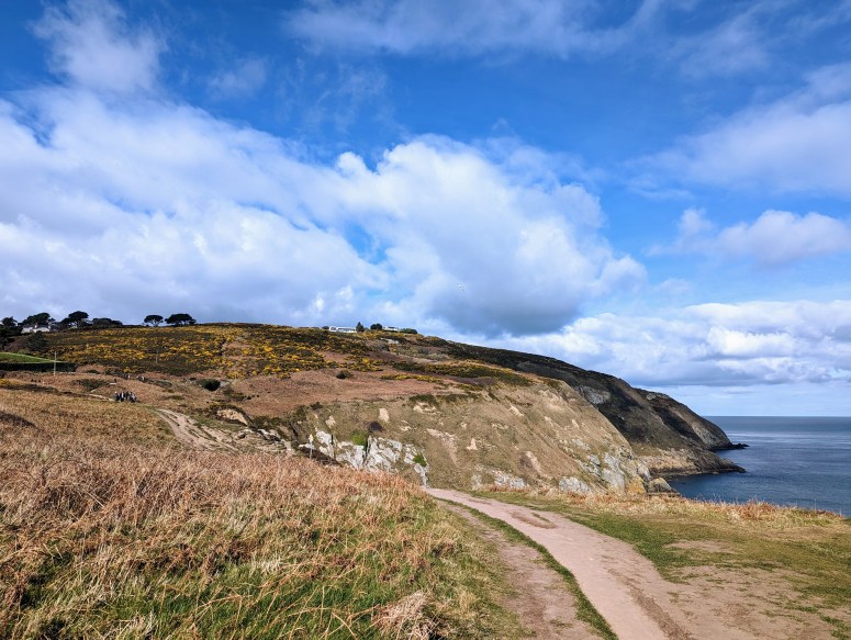 Howth Cliff Walk – Ireland – Shells Adventures