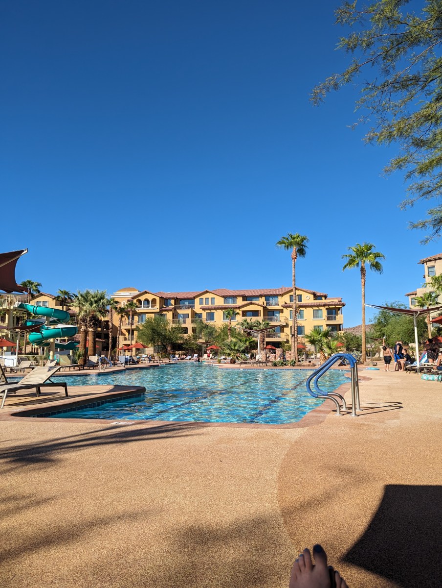 Lazing around in Phoenix – Arizona – Shells Adventures