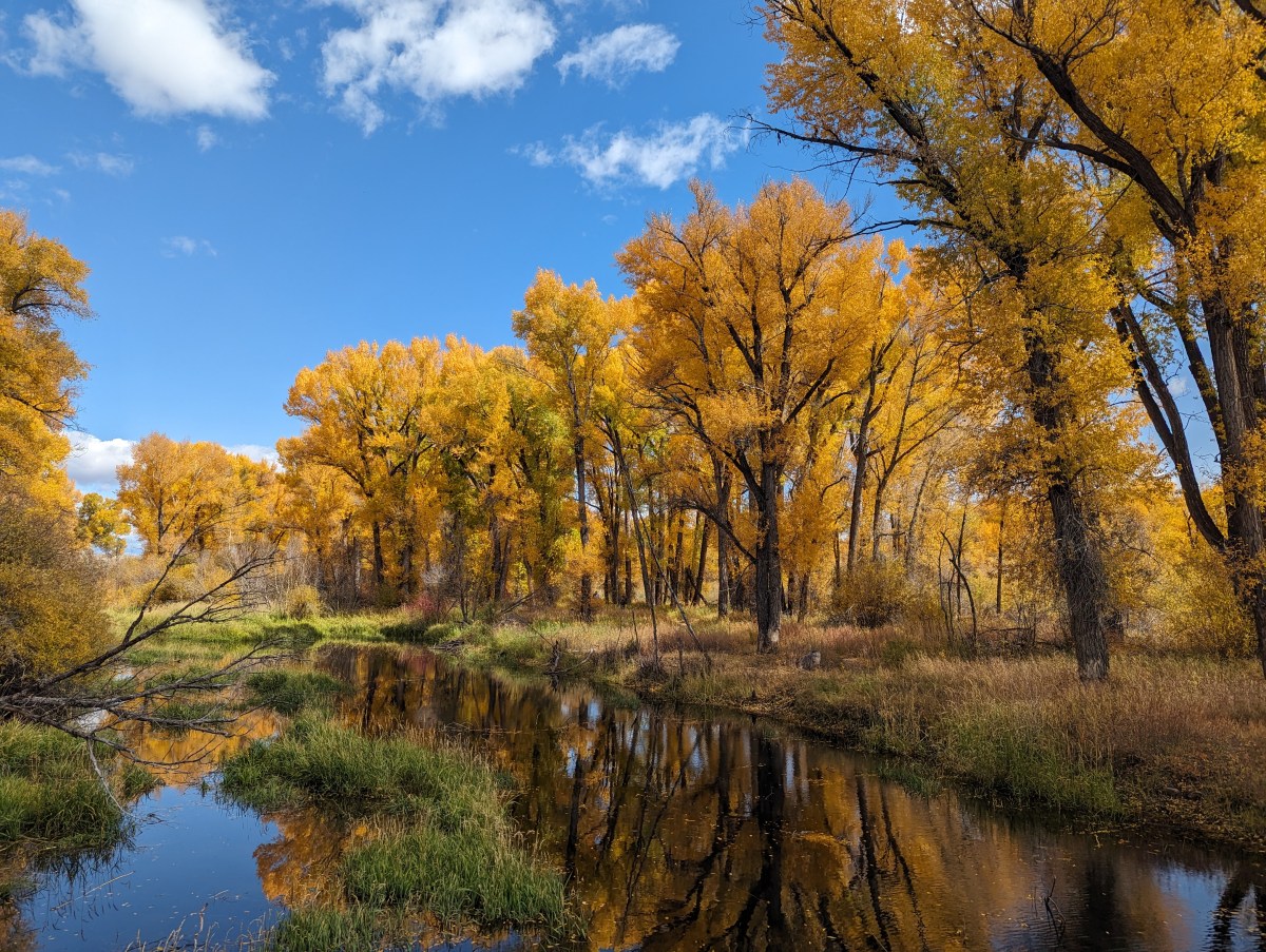 The Tranquility Of The Gunnison River Trails – Colorado – Shells Adventures