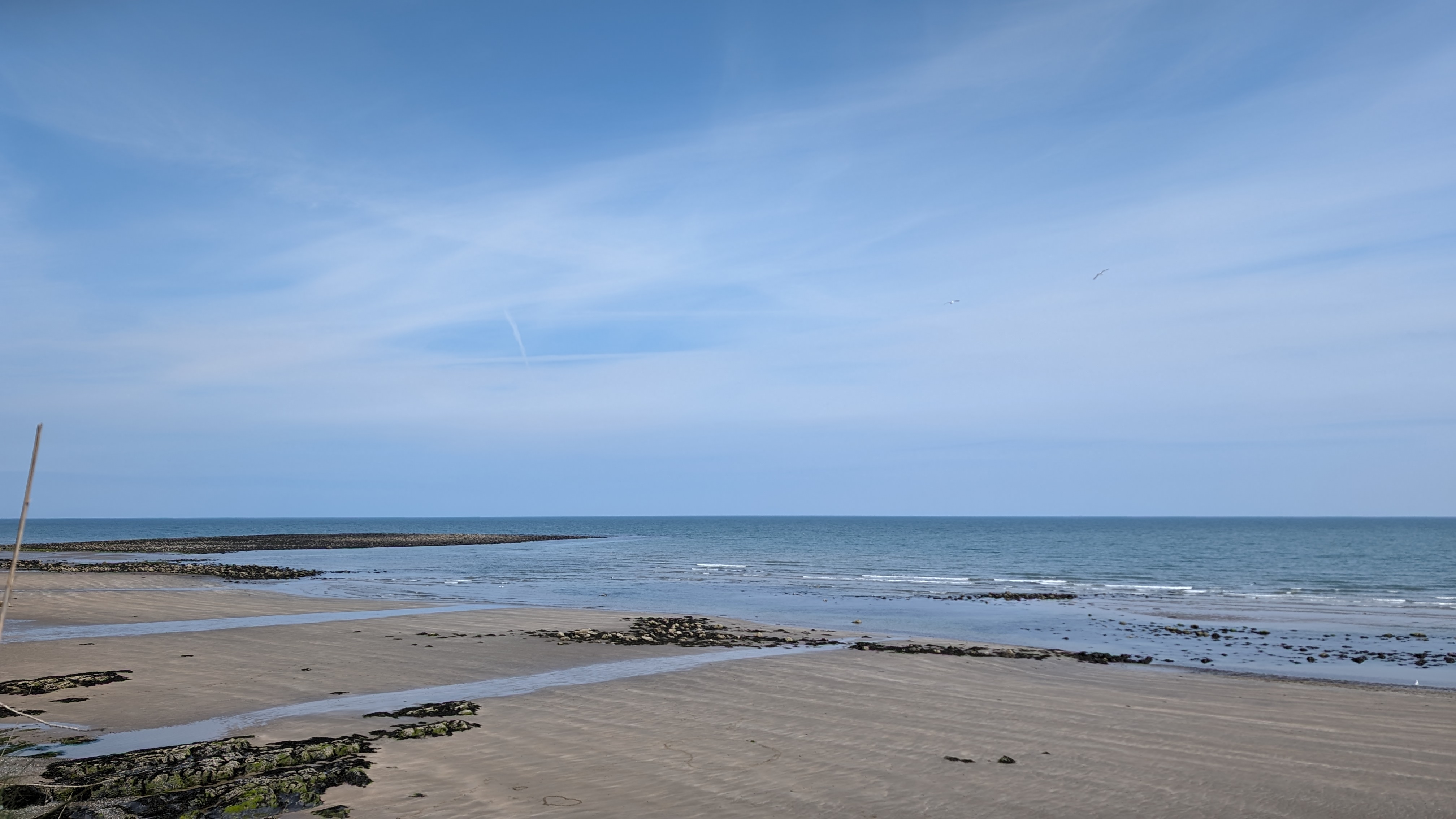 Ardgillian Castle & Demesne Bay Beach – Co. Dublin, Ireland – Shells ...